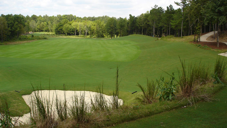 Gallery - King Ranch Turfgrass