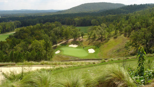 Gallery - King Ranch Turfgrass