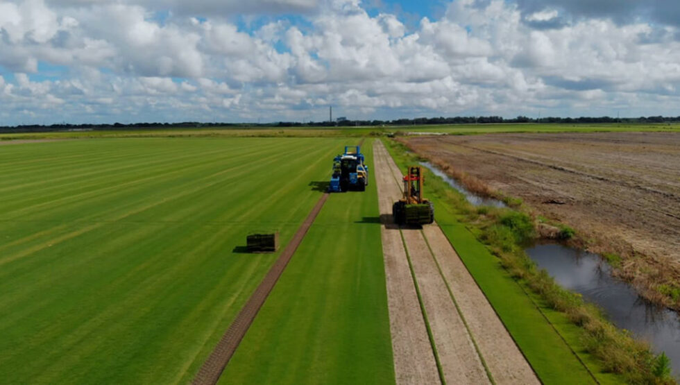 Gallery - King Ranch Turfgrass